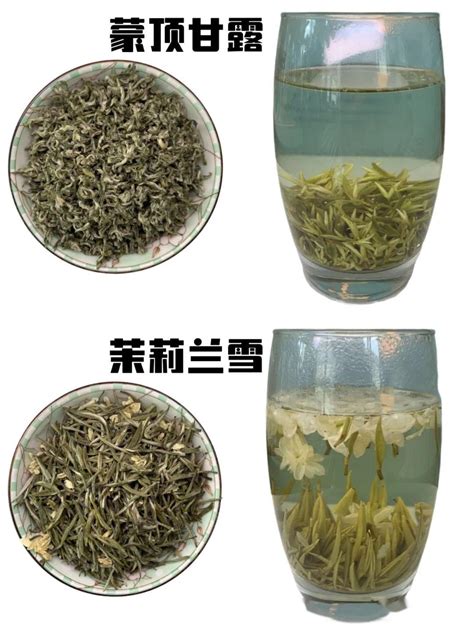 茶叶密码 蒙顶山茶种类大全 你喝过几种 知乎