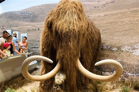 35 Facts About Woolly Mammoth Resurrection