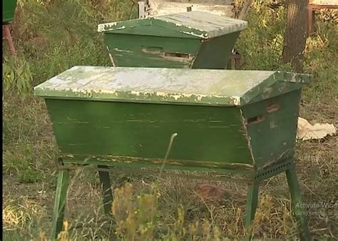 Eritreas Agricultural Sector A Journey Of 31 Years In Brief Eritrea Ministry Of Information