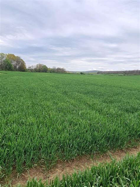 Айтос Земеделска земя Земеделска земя 5604 кв м четвърта категория