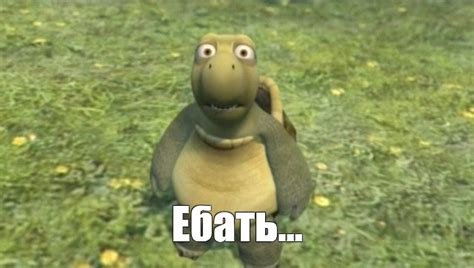 Создать мем черепашка Turtle черепаха из лесной братвы Картинки Meme
