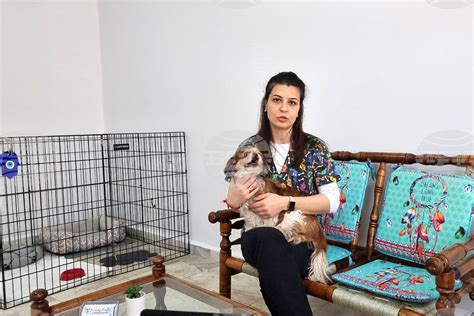 Малки породи кучета са все по предпочитани за домашни любимци в Разградско според д р Братанова