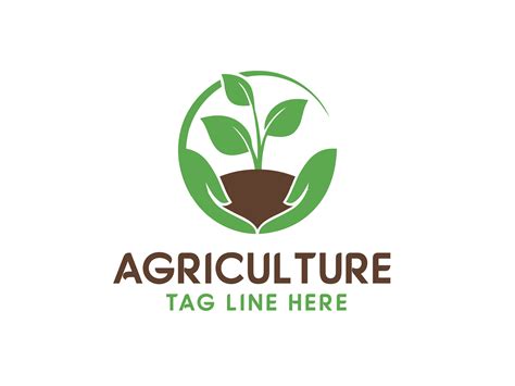 Tree Root Leaf Logo Graphic By Arman Hossen Creative Fabrica