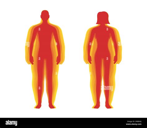 Bmi Classification Measurement Infographic Set Concept Man And Woman Body Mass Index Level