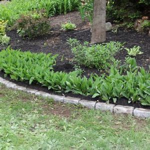 Cobblestone Edging Craftionary