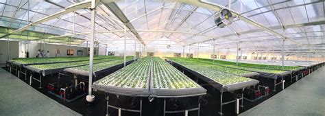 Hydroponic Tidal System Equipment Seedling Beds For Nursery Greenhouse