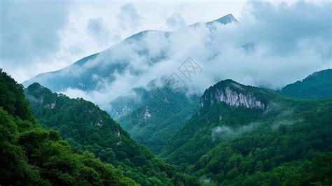 山峦叠嶂森林覆盖雾气缭绕高清图片下载 正版图片603261476 摄图网