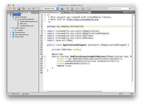 Hello World Application