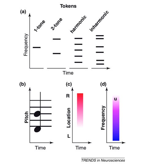principles and examples of auditory streaming instantaneous percepts