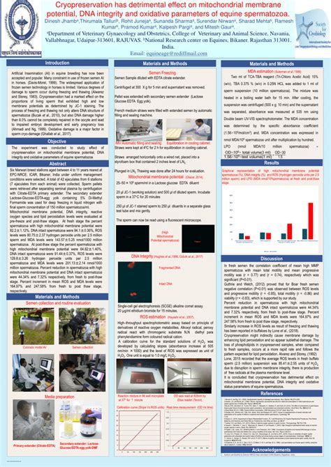 Pdf Cryopreservation Has Detrimental Effect On Mitochondrial Membrane Potential Dna Integrity