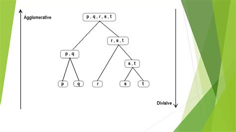 Clustering Algorithmspptx