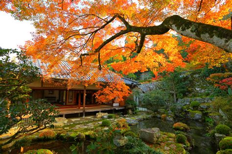 実光院 紅葉