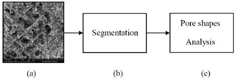 Proposed Workflow For Pore Spaces Analysis A Acquired Sem Image B