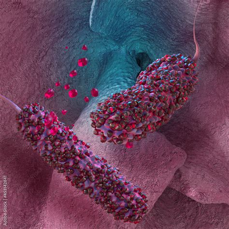 Medical Background Monotrichous Bacteria Rod Shaped Bacteria Having A