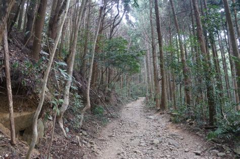 走完大崠山長壽 肥崠 山醜崠山後一定可以長壽 健行筆記