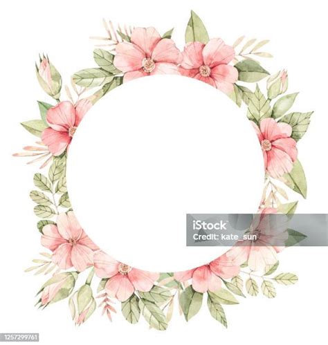 수채화 식물 삽화 핑크 개 장미 꽃 라벨 부드러운 장미 꽃봉오리 가지 녹색 잎으로 동그라미 결혼식 초대장 카드 프레임 포스터 포장에 적합합니다 개화기에 대한 스톡 벡터 아트