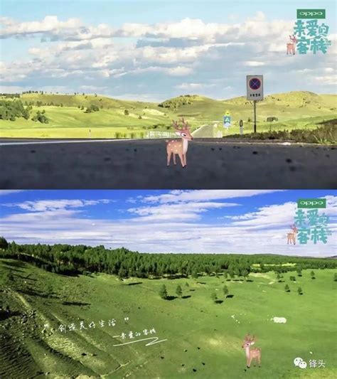 《親愛的·客棧2》的高級在於「旅遊幫扶」的授人以漁 每日頭條