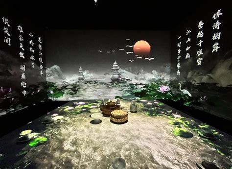 你好苏东坡沉浸式宋韵艺术展