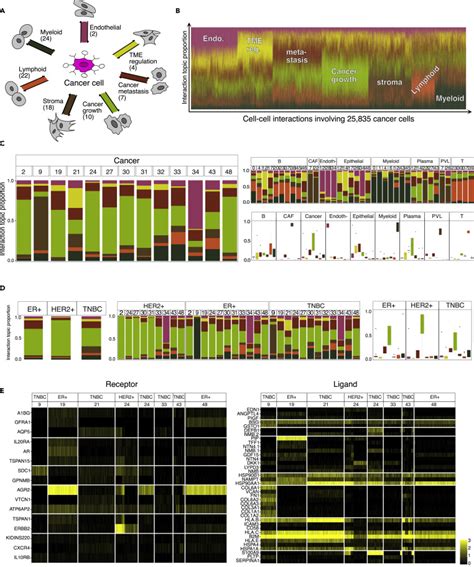 Single Cell Pair Wise Relationships Untangled By Composite Embedding Model Iscience