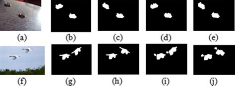 Copy Move Forgery Detection On D1 2 Dataset With Rotation Download Scientific Diagram