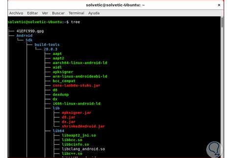 Cómo usar comando Grep y Tree Linux ejemplos Solvetic