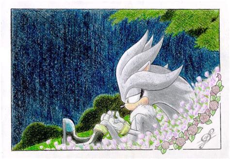 Silver Portrait Sonic Knuckles Silver Scourge And Shadow To Sexy Photo Fanpop
