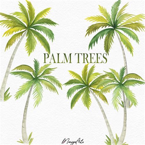 Palm Tree Clipart Watercolor Clip Art Double Palm Tree Summer Etsy