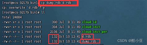 Redis持久化之rdb（详解）redis Dumprdb Csdn博客