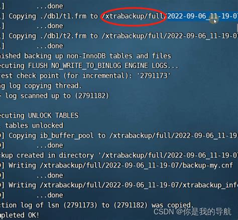Mysql备份恢复（xtrabackup）xtrabackup 恢复 Csdn博客