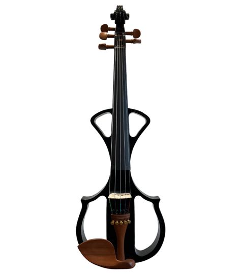 Ev 204 Beginner 5 String Electric Violin Bigviolinshop