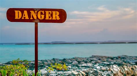 The Most Dangerous Phrase In The English Language Less Effort More Ease