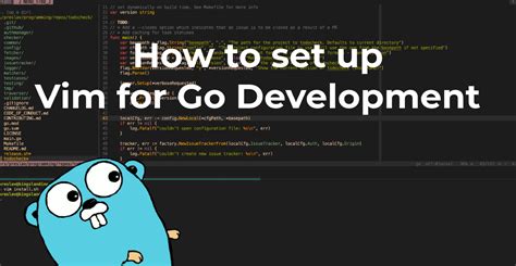 How To Set Up Vim For Go Development Preslav Mihaylov