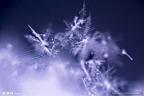 雪花冰晶摄影图 自然风景 旅游摄影 摄影图库 昵图网