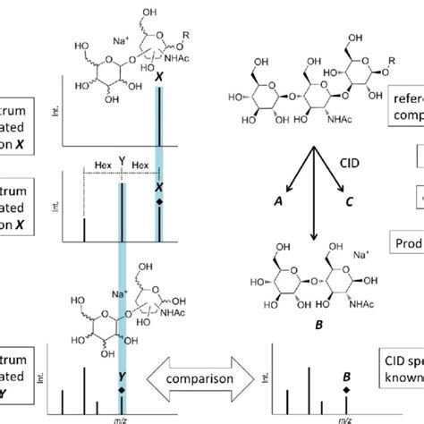 Overall Flowchart For Spectral Matching Download Scientific Diagram Overall Flowchart For Spectral Matching Download Scientific Diagram