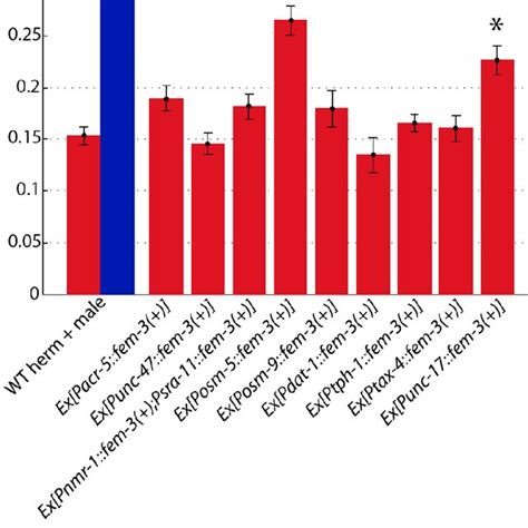 Identifying The Cellular Basis For Sex Differences In Locomotor