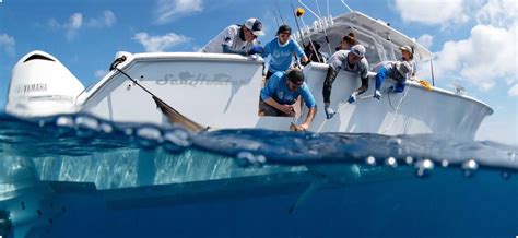 App Success Stories Shopify App Store