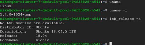 Cant Make Criu Dump Work On A Gcp Node · Issue 1230 · Checkpoint