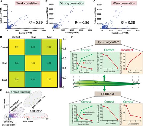 A Multi Organ Maize Metabolic Model Connects Temperature Stress With Energy Production And