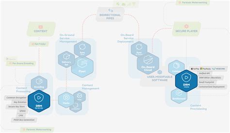 Robust Multi Drm For Premium Content Protection Axinom