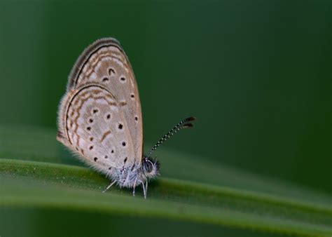 Tiny World By Geevarghese