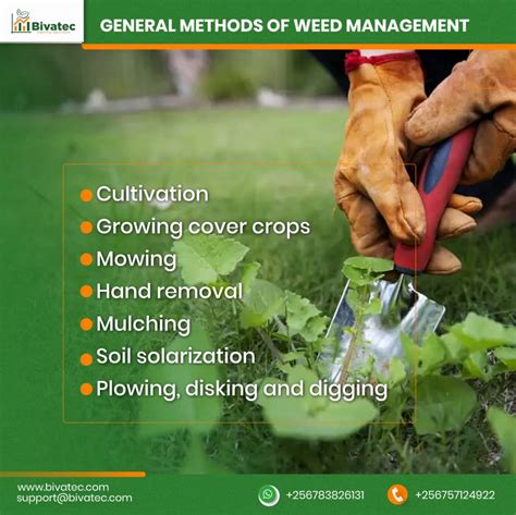 Effective Weed Control In Agriculture Methods And Benefits