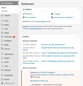 WordPress Basics Help