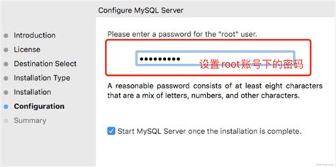 mac安装配置mysql 详细教程（简单） mac mysql8配置环境变量 csdn博客