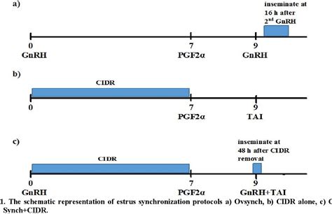 Figure 1 From Efficacy Of Estrus Synchronization Protocols In Non
