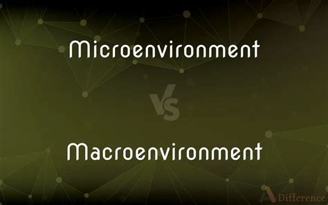 Microenvironment Vs Macroenvironment — Whats The Difference