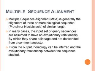 Multiple Sequence Alignment PPTX Genetics Science