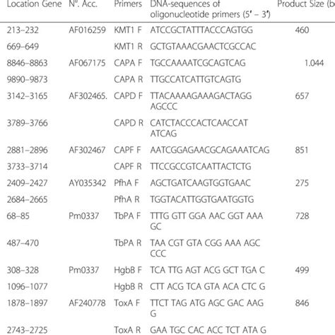 Lesions Caused By Pasteurella Multocida Type A In Experimentally Download Scientific Diagram