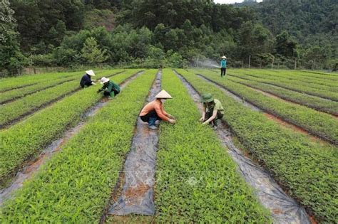Green Productivity Brings Benefits To Enterprises Expert
