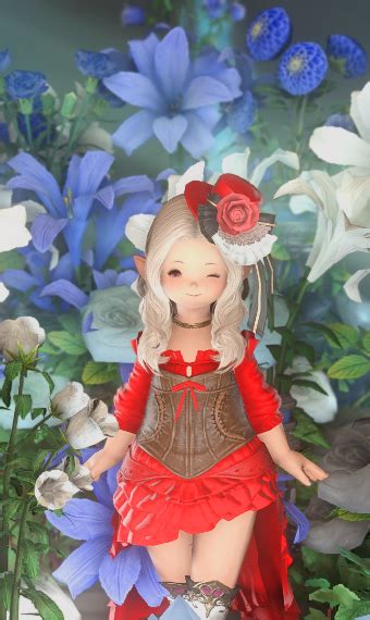 Ruby Eorzea Collection