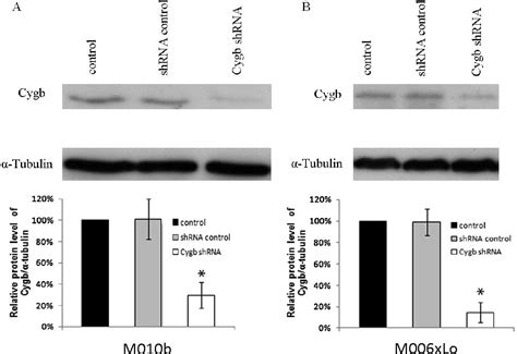 Knockdown Of Cytoglobin Expression Sensitizes Human Glioma Cells To